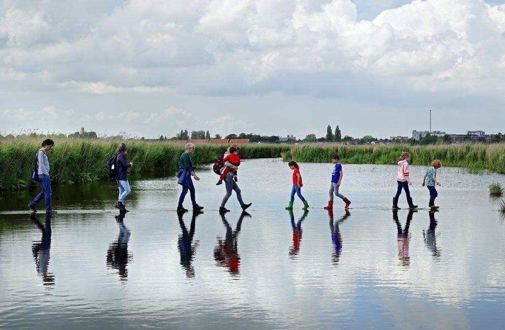 Webinar Natuur op Recept: samen op pad voor een groene gezonde ...